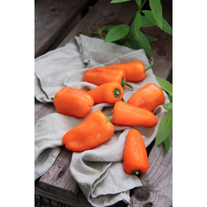 Paprika Hamik | BAUHAUS